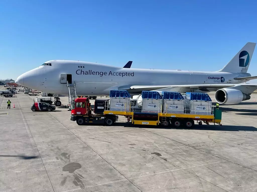 Transporting Live Animals: Ensuring Safety while Overcoming Challenges