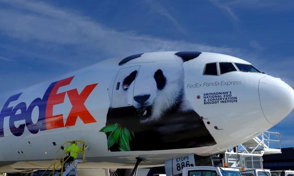 Three giant pandas arrive in China on FedEx Panda Express
