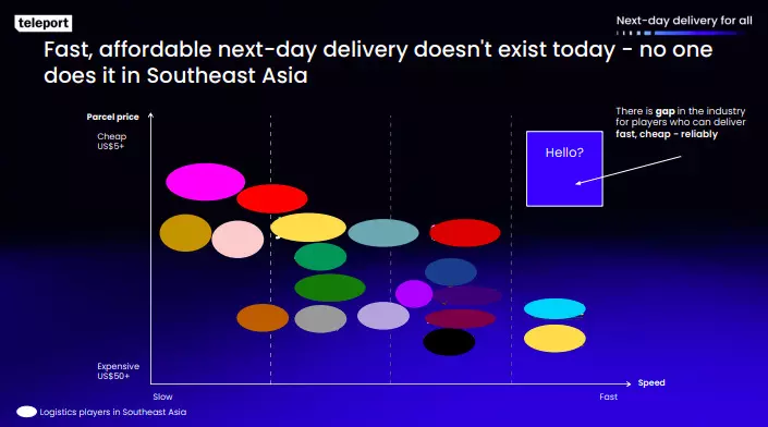 Teleport to deliver 2 million parcels daily by 2025, says company CEO