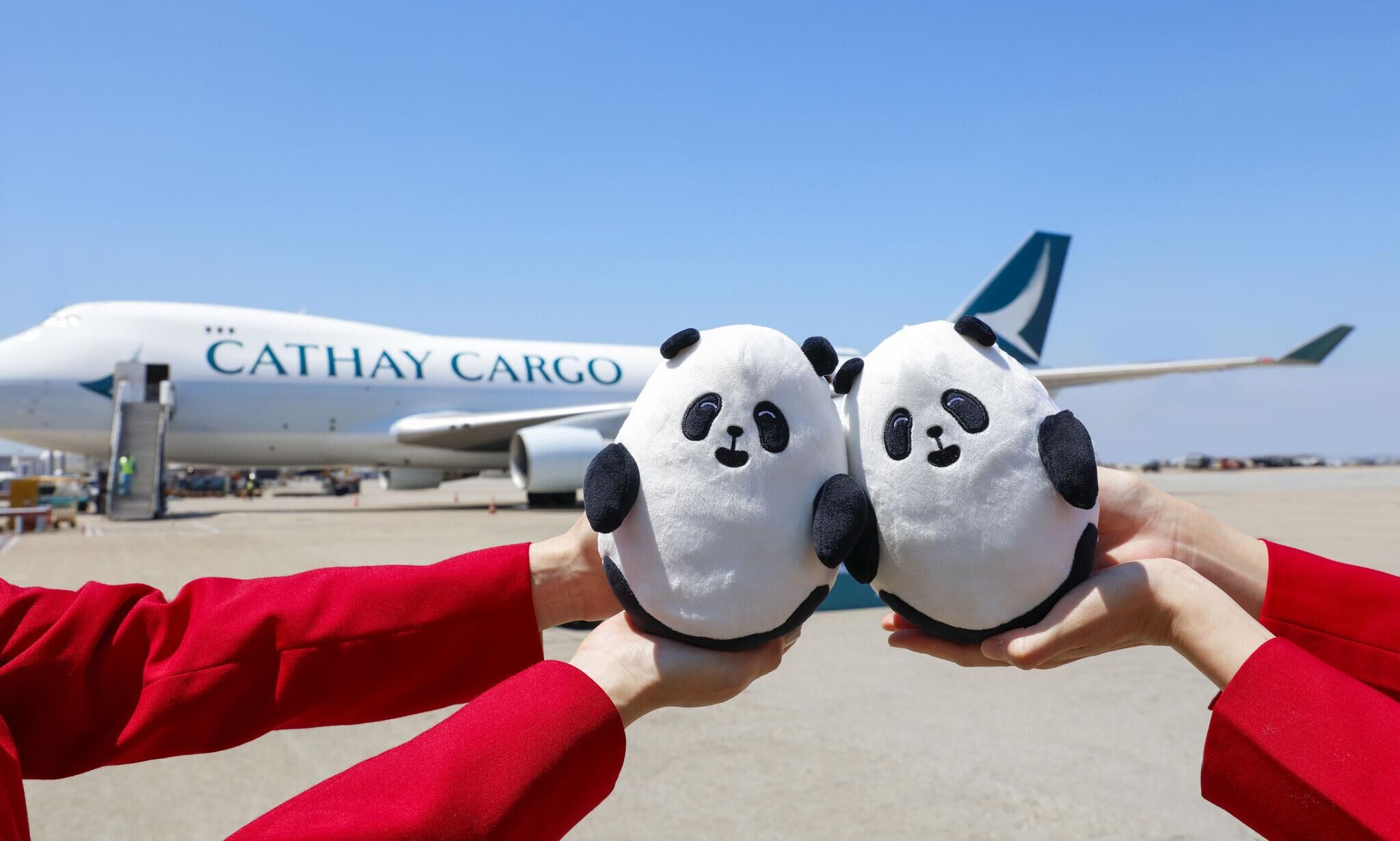 Cathay Cargo delivers two giant pandas safely to their new home in HK