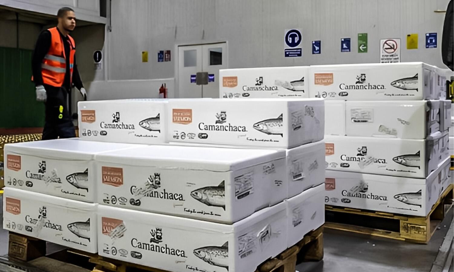 First shipment of Chilean salmon exported to Australia with LATAM