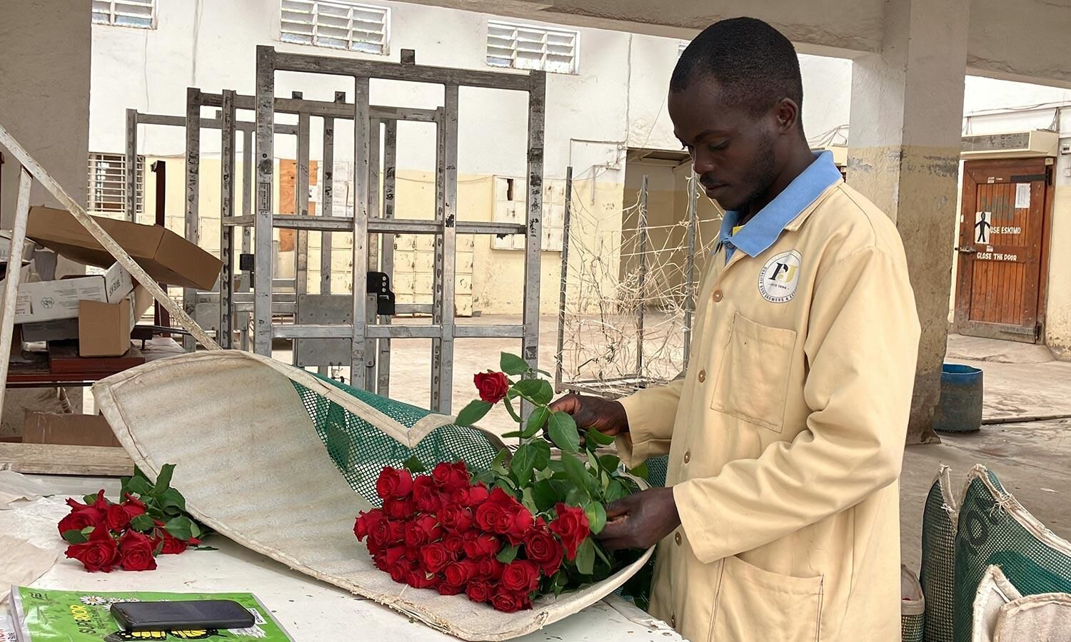 How air cargo is boosting global flower trade