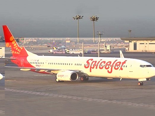 SpiceJet posts Q1 results, revenue from cargo increases by 144 per cent